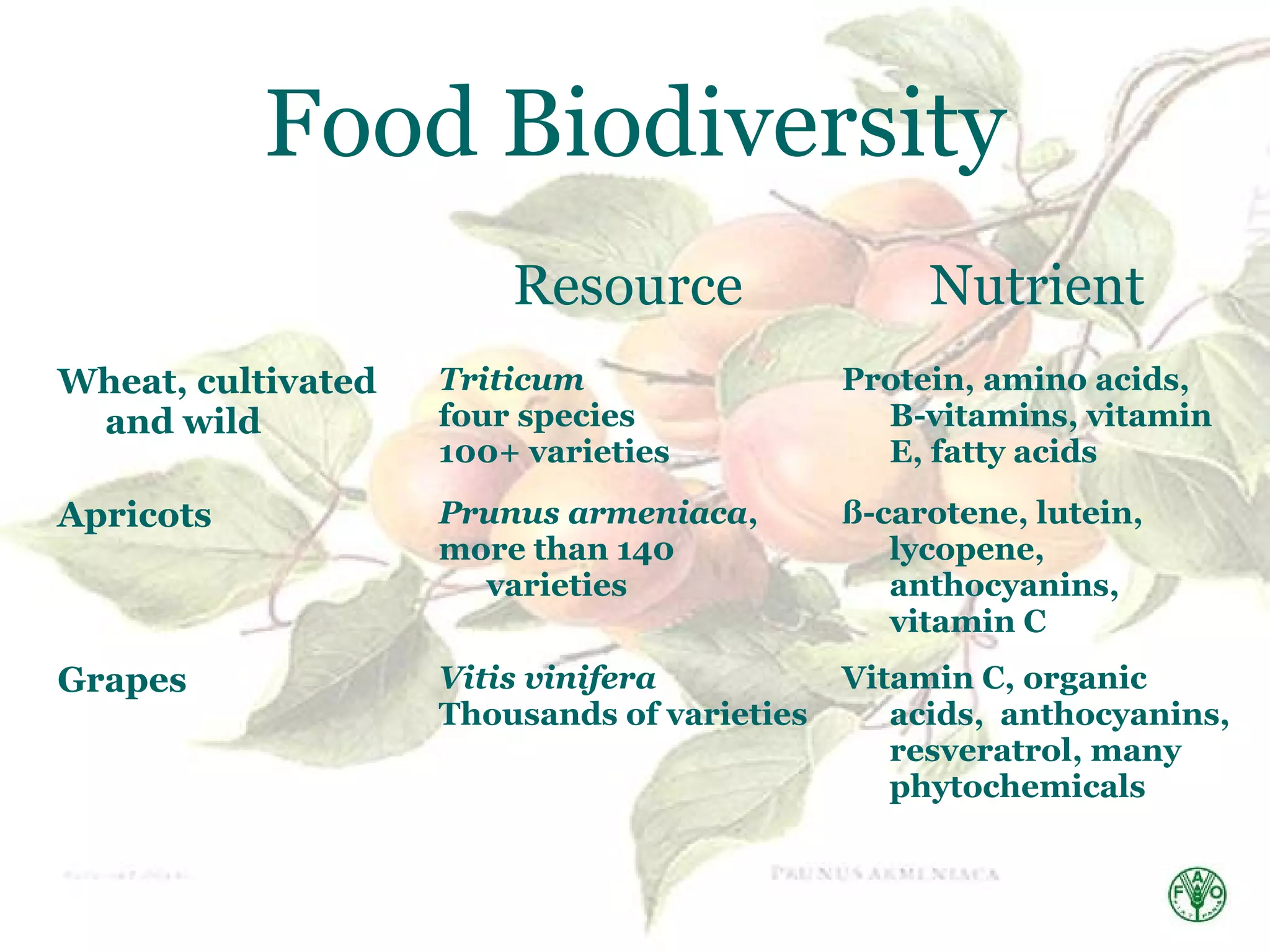 Food composition and biodiversity | PPT