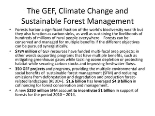 Global Environmental Facility Bridging climate and biodiversity | PPT