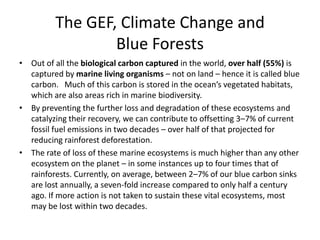 Global Environmental Facility Bridging climate and biodiversity | PDF