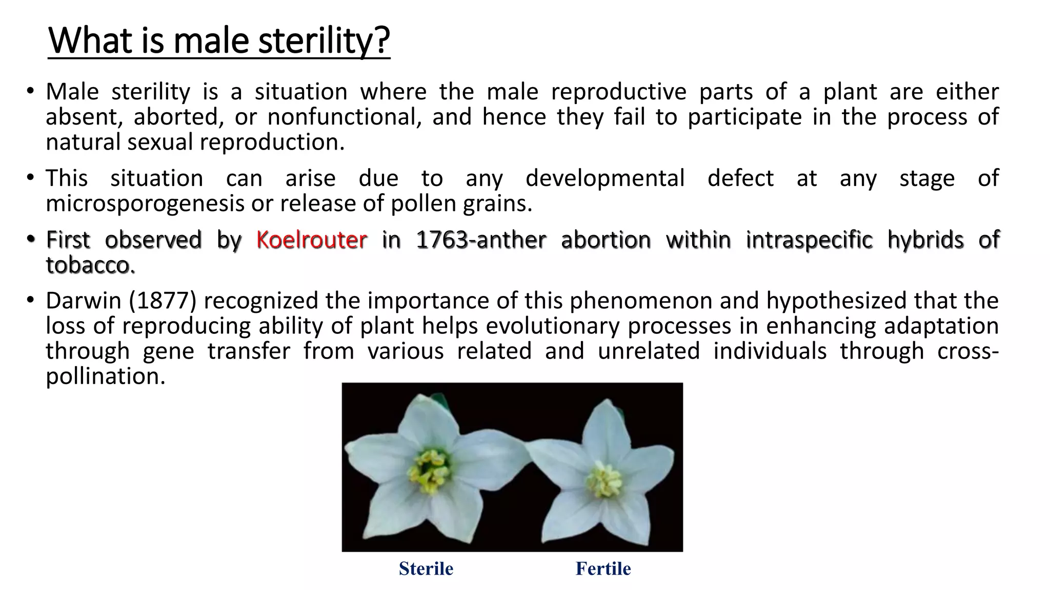 Genetic Engineering for Male Sterility in Plants | PPTX