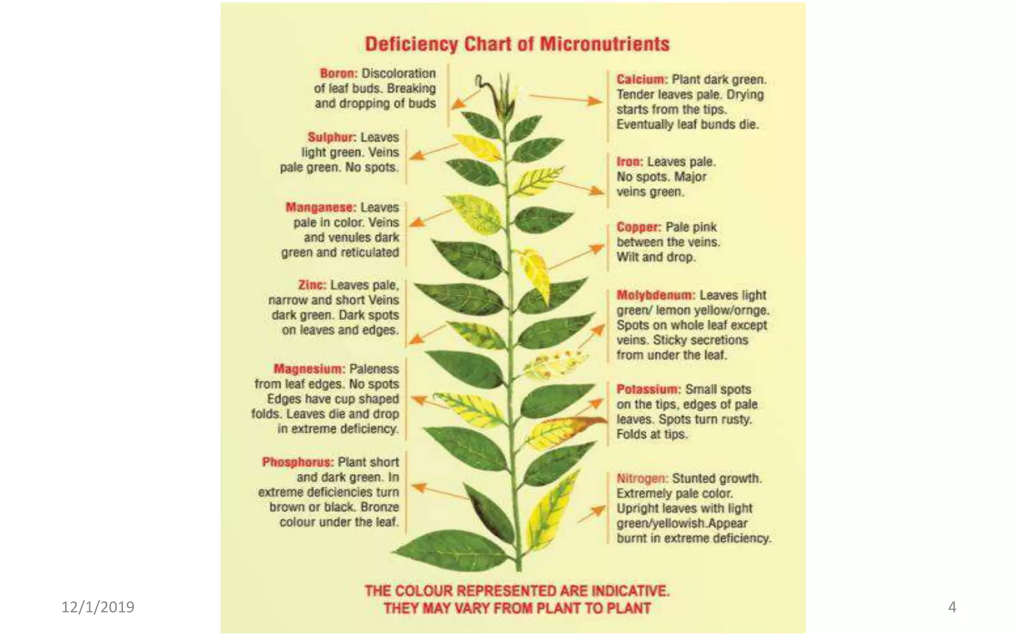 Genetic engineering for nitrogen fixation and nutrient uptake | PPTX