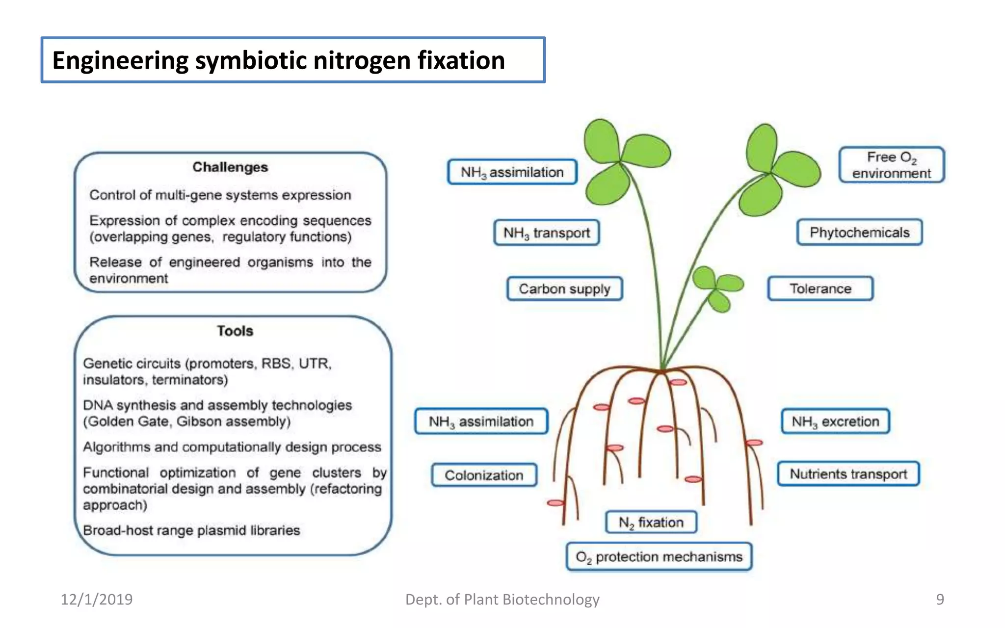 Genetic engineering for nitrogen fixation and nutrient uptake | PPTX