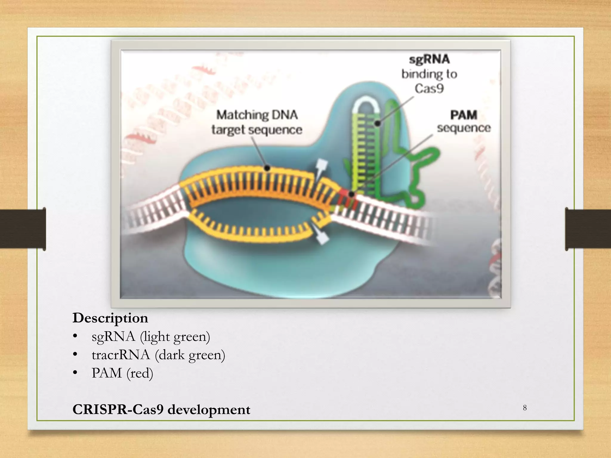 CRISPR-Cas9: The new frontier of Genome Engineering | PDF