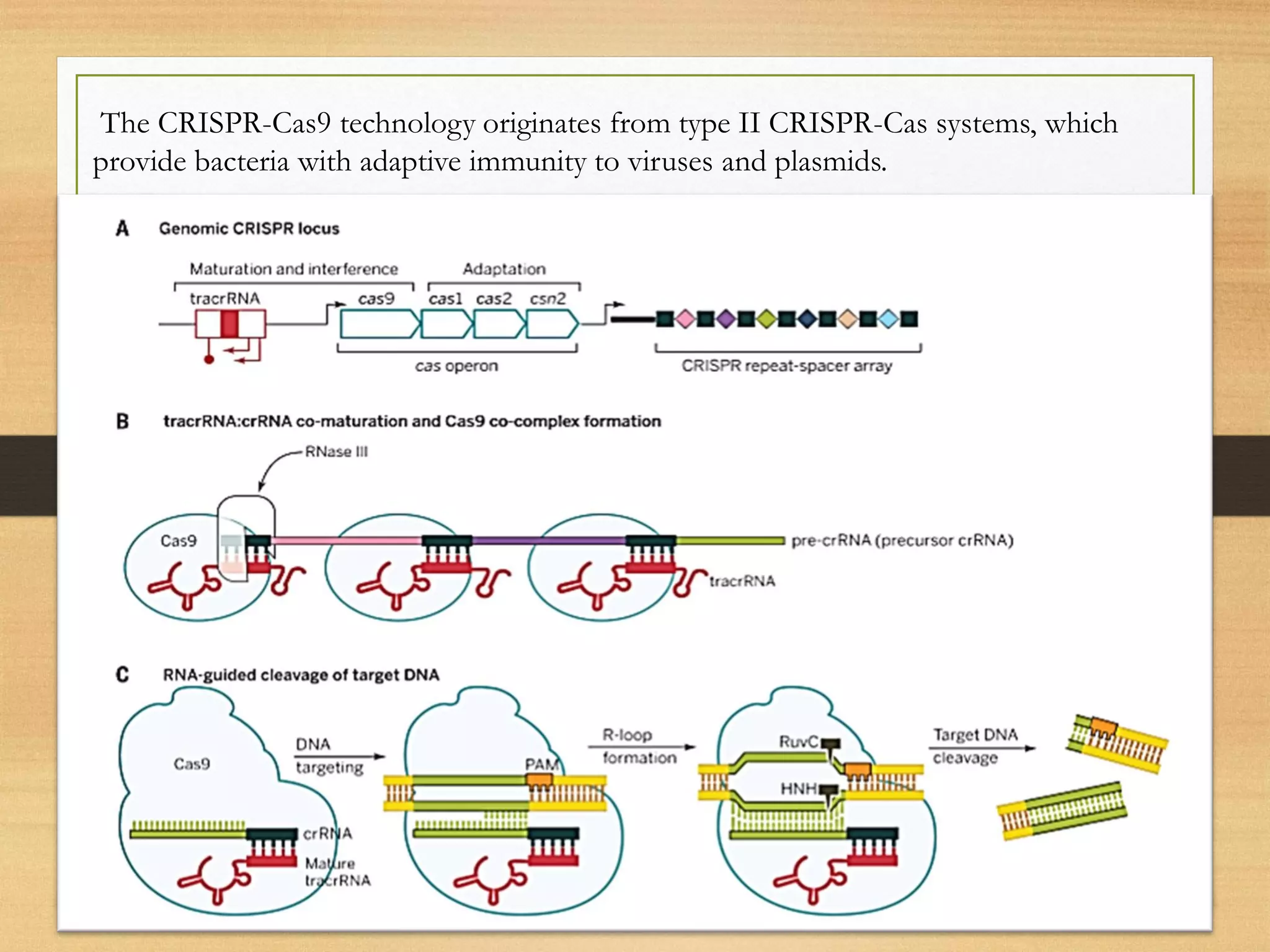 CRISPR-Cas9: The new frontier of Genome Engineering | PDF