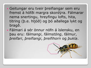 Geitungar kynning | PPTX