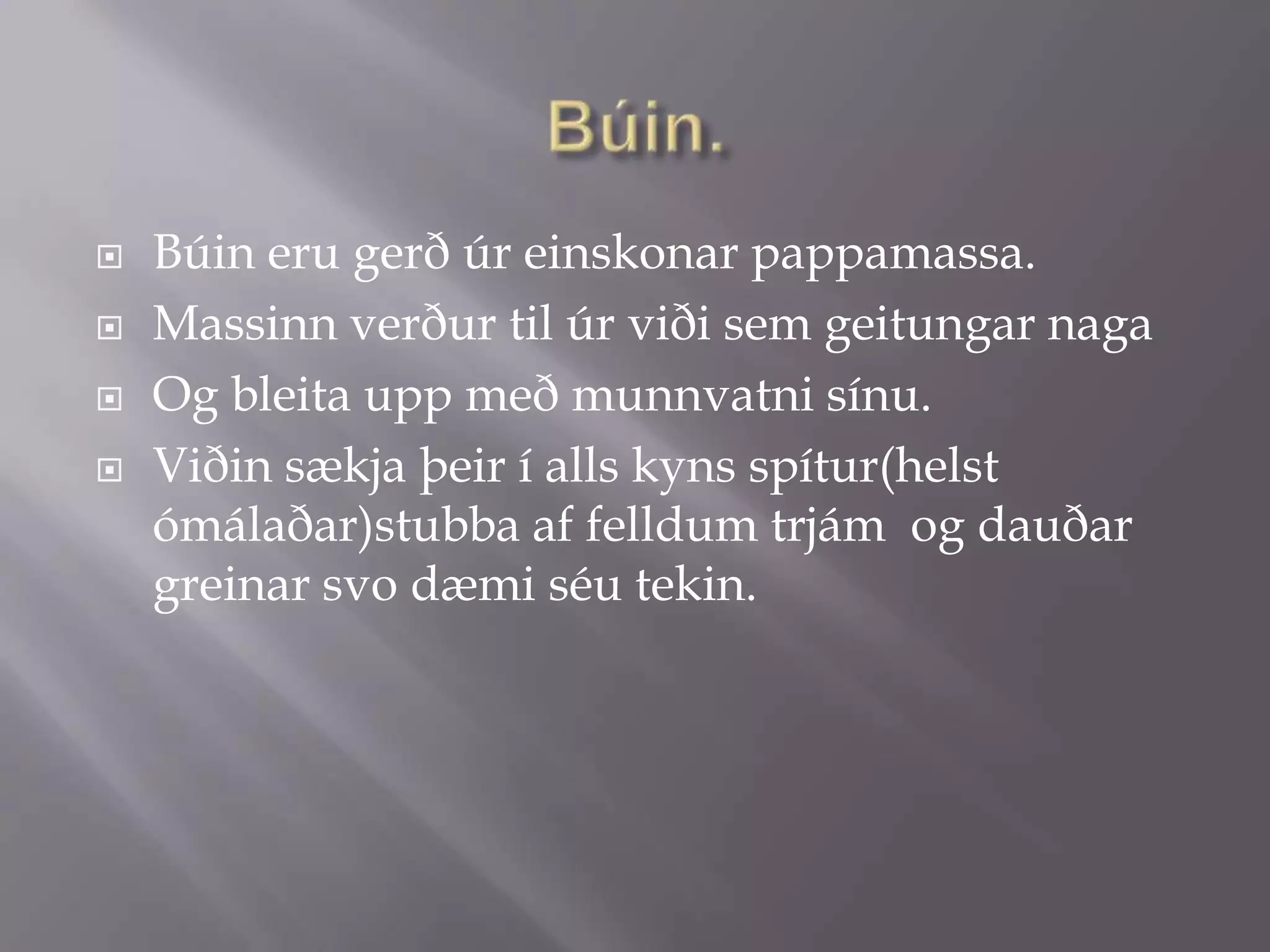 Geitungar kynning bjarki | PPT