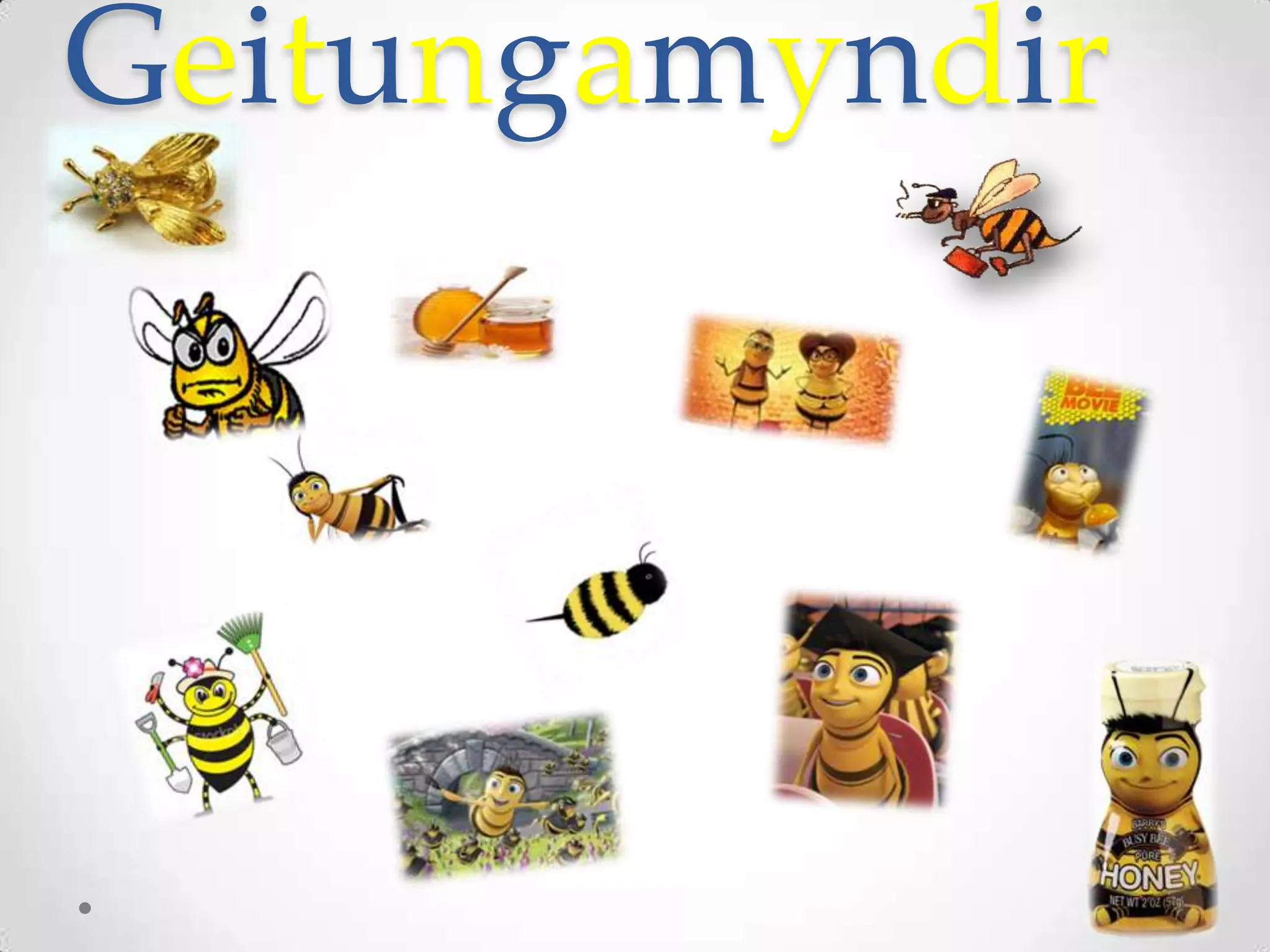 Geitungar kynning sara | PPT