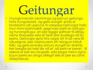 Geitungar kynning sara | PPT