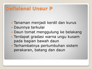 Gejala defisiensi unsur hara pada tanaman tomat | PPTX