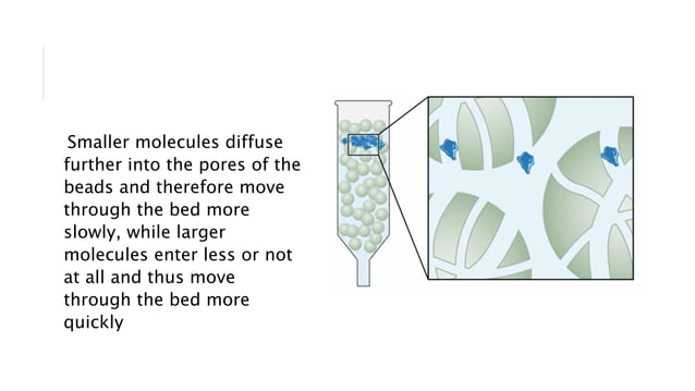 Gel filtration chromatography | PPTX