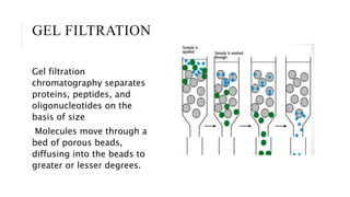 Gel filtration chromatography | PPTX