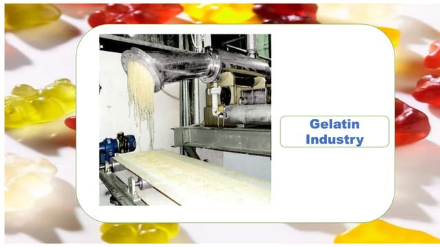 Gelatin : Project feasibility | PDF