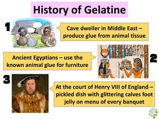 Gelatine | PDF