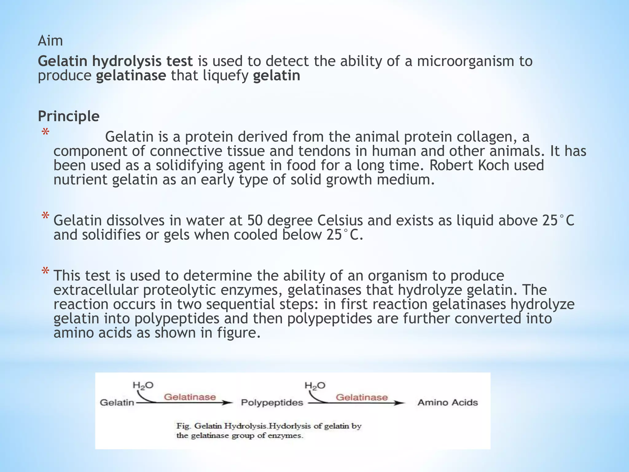 Gelatin hydrolysis test | PPTX
