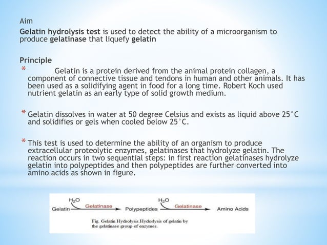 Gelatin hydrolysis test | PPTX