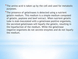 Gelatin hydrolysis test | PPTX