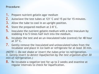 Gelatin hydrolysis test | PPTX