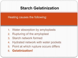 Gelatinisation retrogradation of starch july 2009.pptx