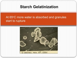 Gelatinisation retrogradation of starch july 2009.pptx