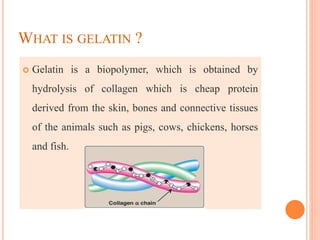 Gelatin ppt cipet | PPTX