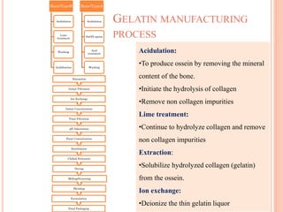 Gelatin ppt cipet | PPTX