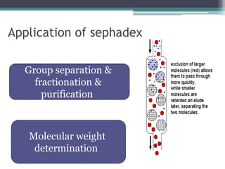 Gel chromatography | PPTX