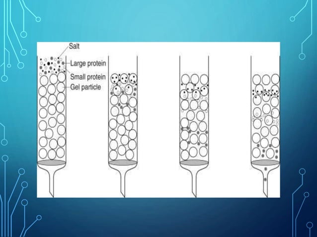 Gel Filtration or Permeation Chromatography | PPTX Gel Filtration or Permeation Chromatography | PPTX