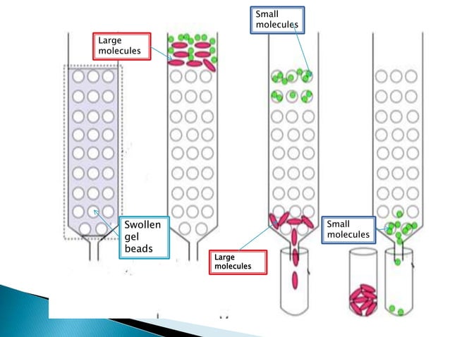Gel chromatography, Introduction, Theory, Instrumentation, Applications ...