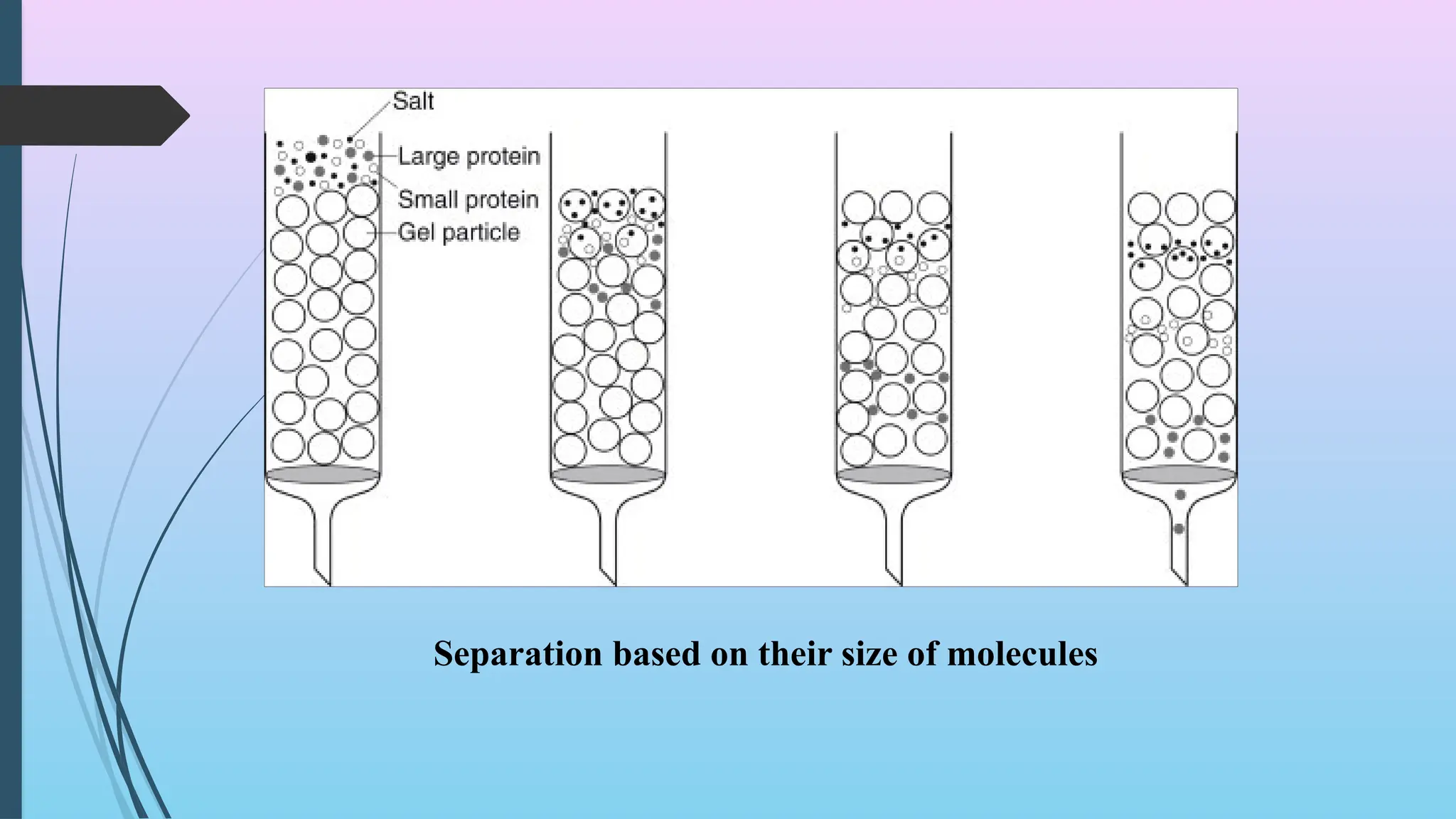 GEL CHROMATOGRAPHY : Principles and Applications | PPTX