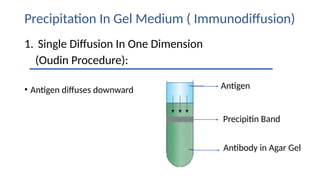 Gel Diffusion Technique.pptx gel diffusion | PPTX