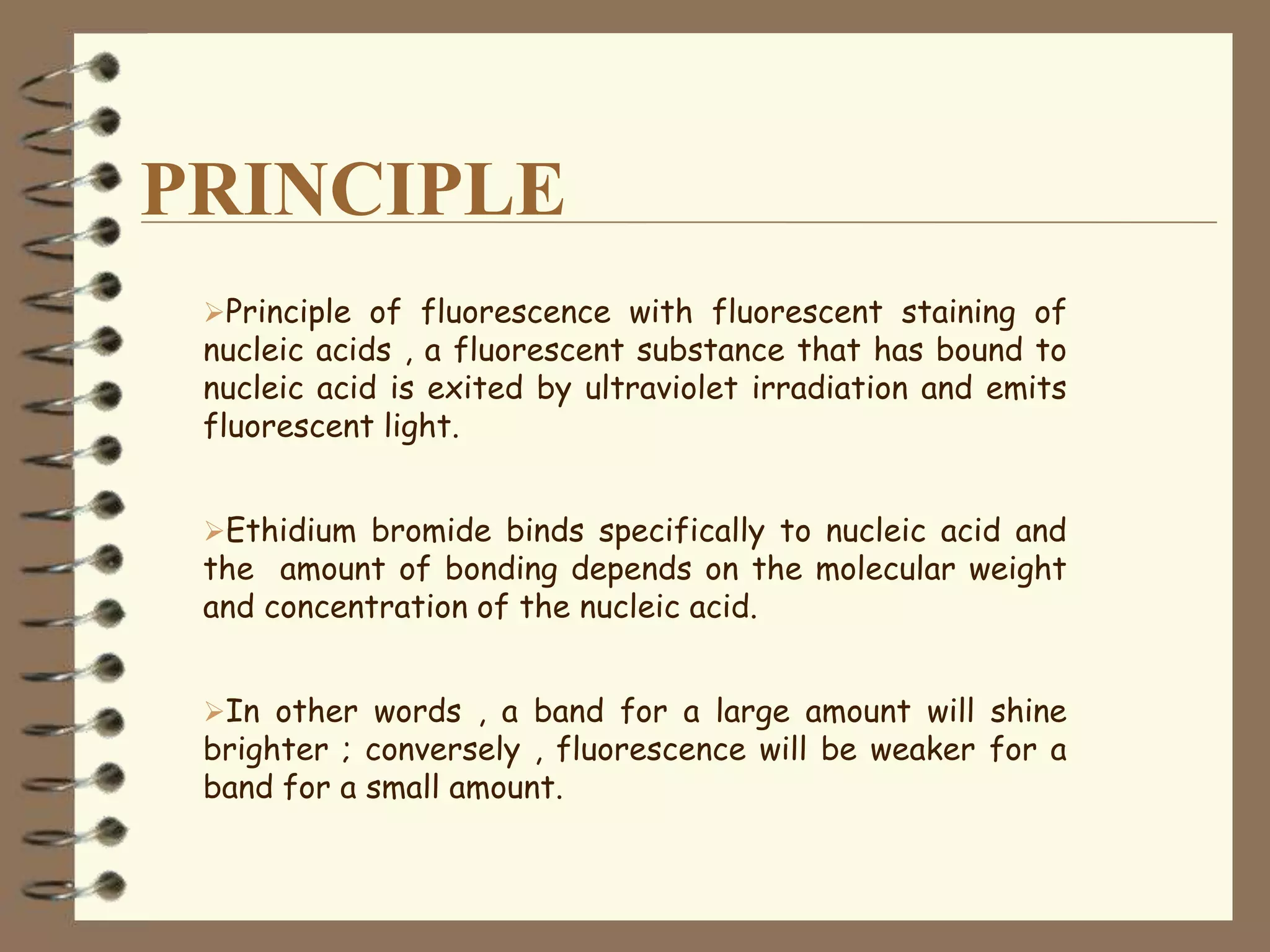 Gel doc system | PPTX
