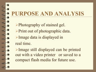 Gel doc system | PPTX