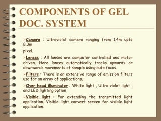 Gel doc system | PPTX