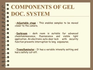 Gel doc system | PPTX