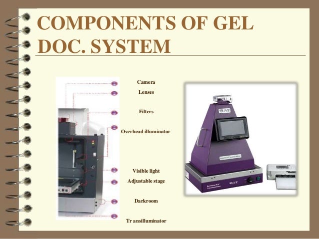 Gel doc system