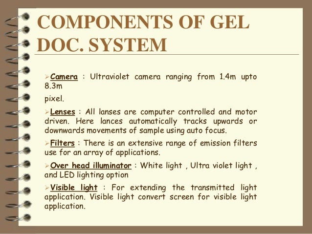 Gel doc system
