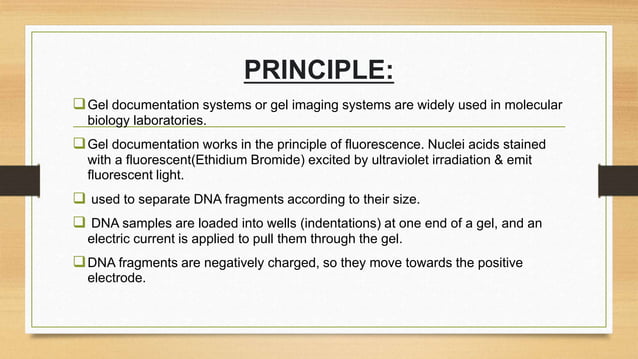 GEL DOCUMENTATION SYSTEM.pptx microbial instrumentation | PPT