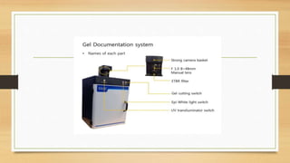 GEL DOCUMENTATION SYSTEM.pptx microbial instrumentation | PPT