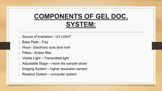 GEL DOCUMENTATION SYSTEM.pptx microbial instrumentation | PPT