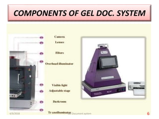 Gel document system | PPTX