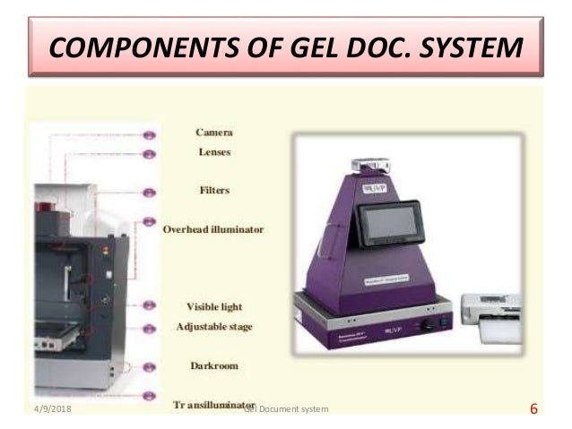 Gel document system