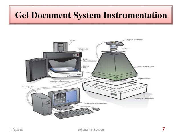 Gel document system