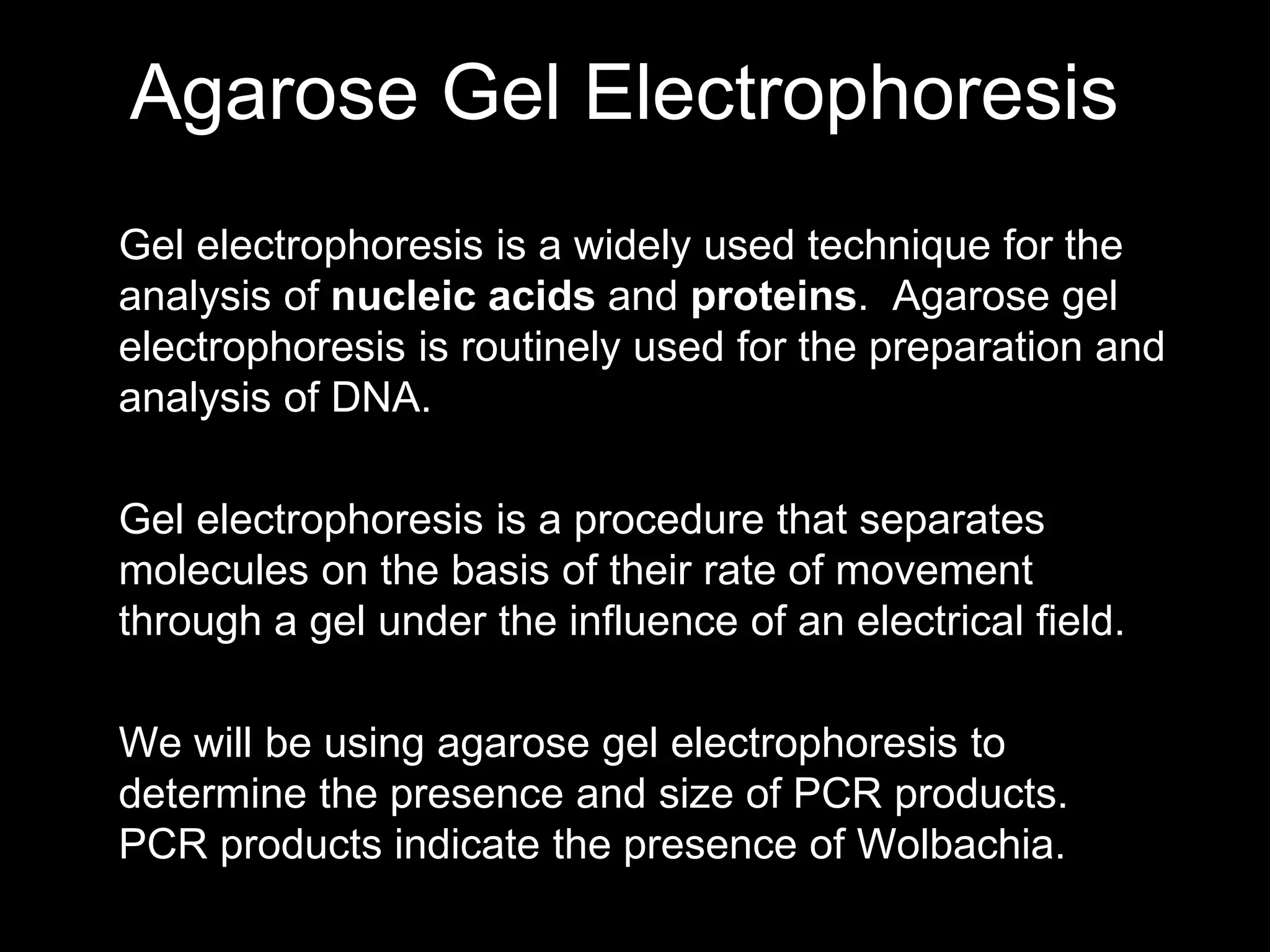 Gel Electorphoresis and its use in separation of DNA | PPT