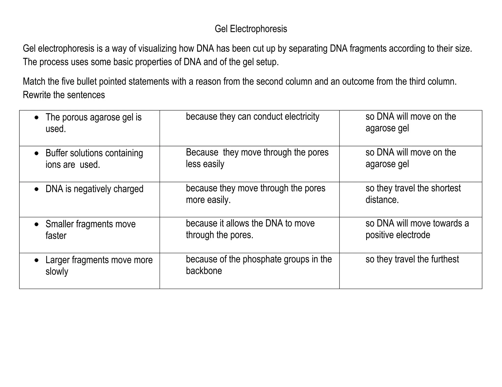 Gel Electrophoresis | DOCX