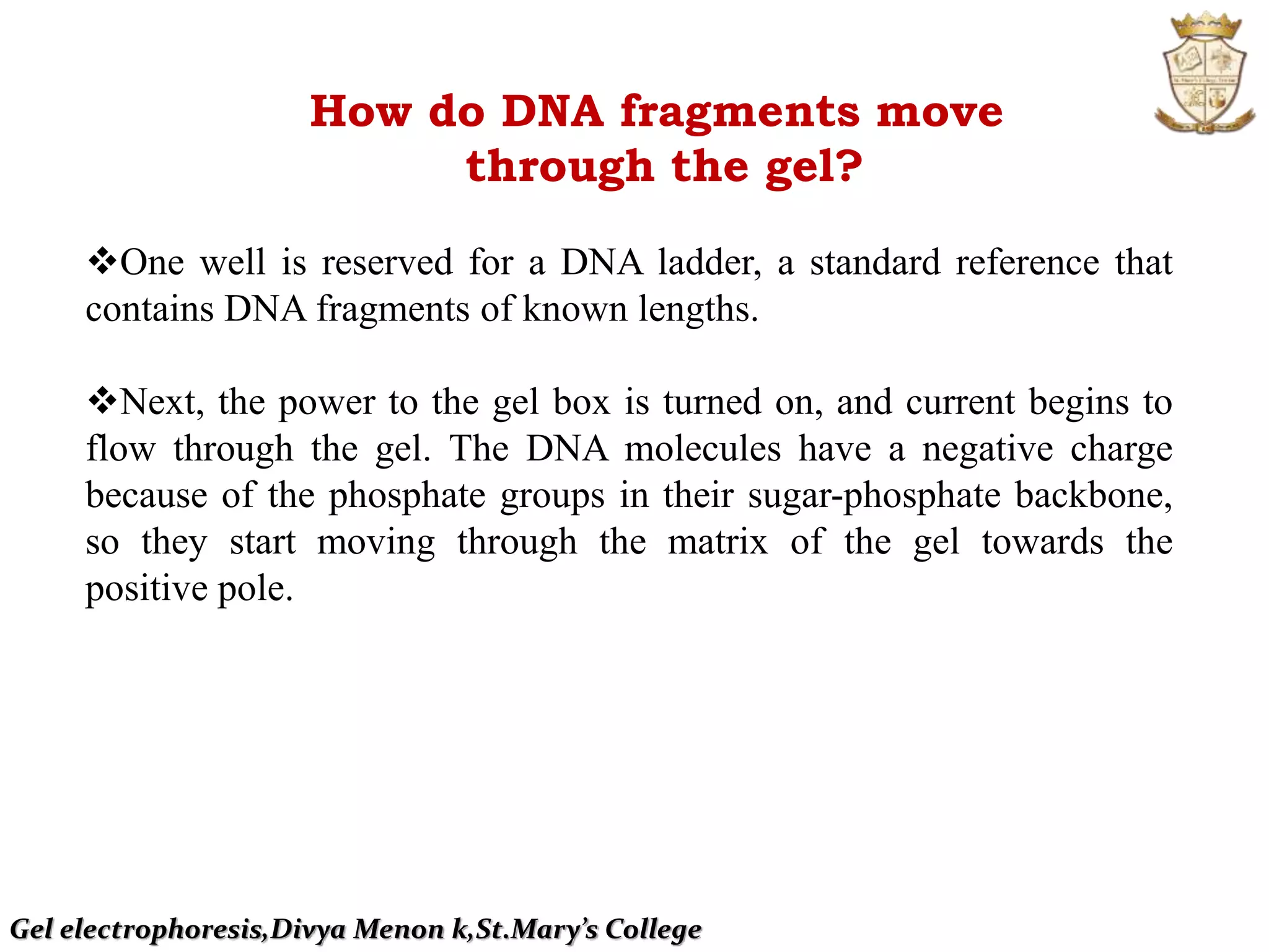 Gel electrophoresis | PPTX