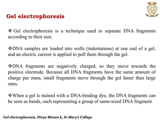 Gel electrophoresis | PPTX | Chemistry | Science