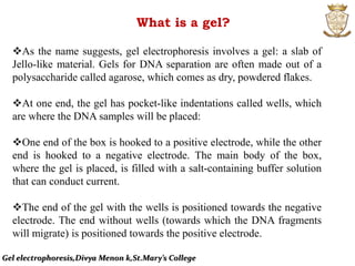 Gel electrophoresis | PPTX