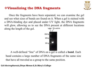 Gel electrophoresis | PPTX