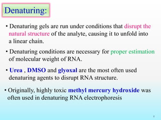 Gel electrophoresis | PPTX
