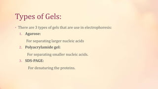 Gel electrophoresis | PPTX